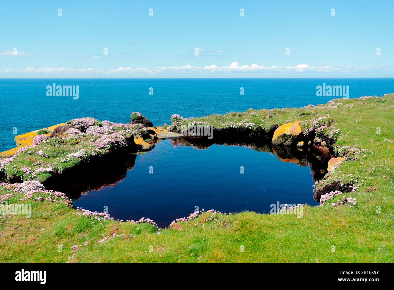 Isle of Handa, Scotland Stock Photo - Alamy