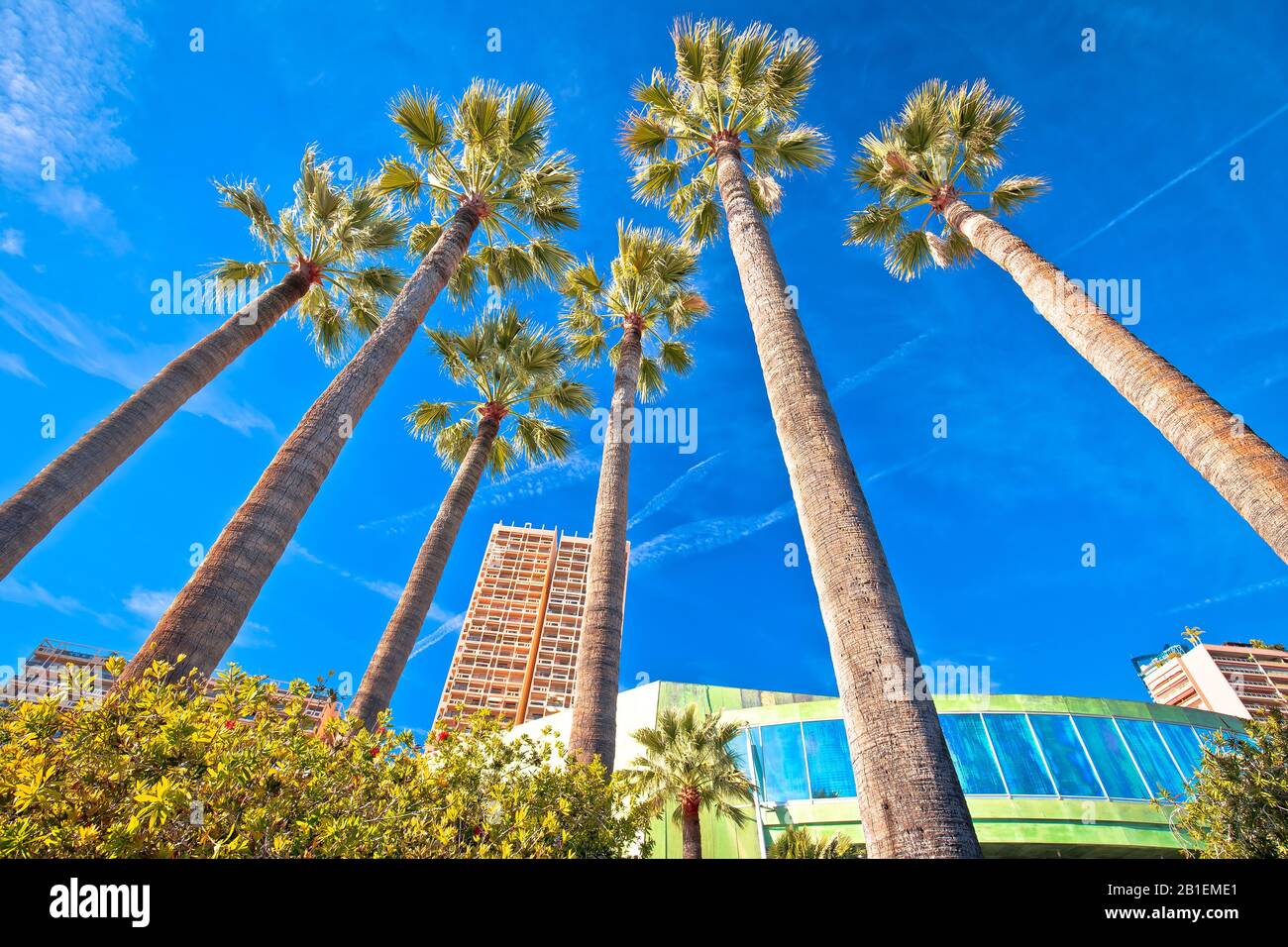Palm waterfront of Monte Carlo view, Principality of Monaco Stock Photo ...