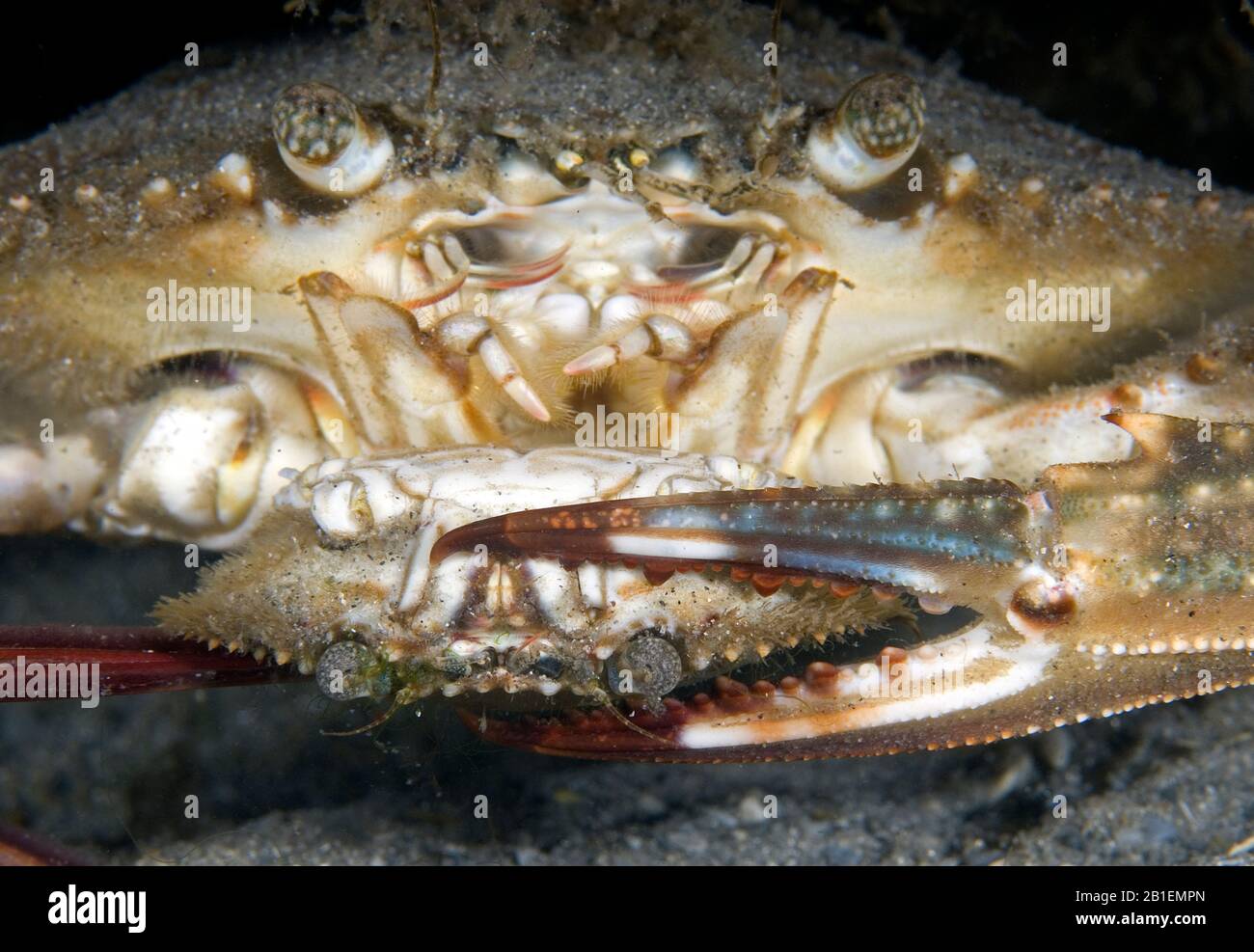 Smalls beach hi-res stock photography and images - Alamy