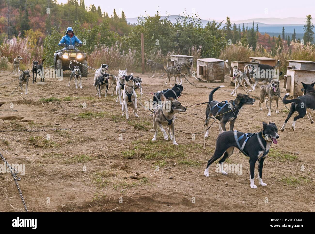 Boreal mountain hi-res stock photography and images - Alamy