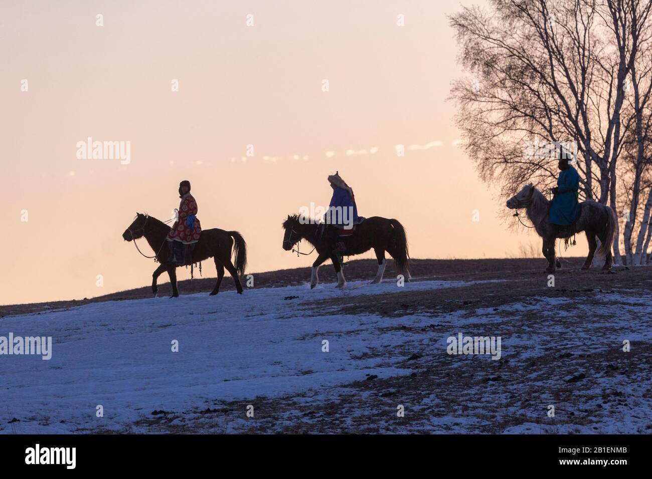three Mongolian horsemen on a horse running in a meadow covered by snow ...