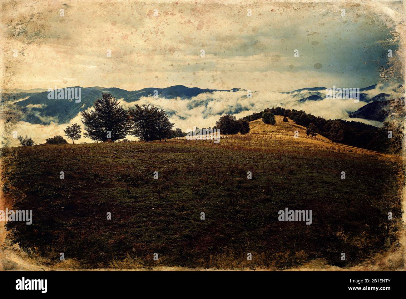 Flock of sheep on beautiful mountain meadow, old photo effect Stock ...