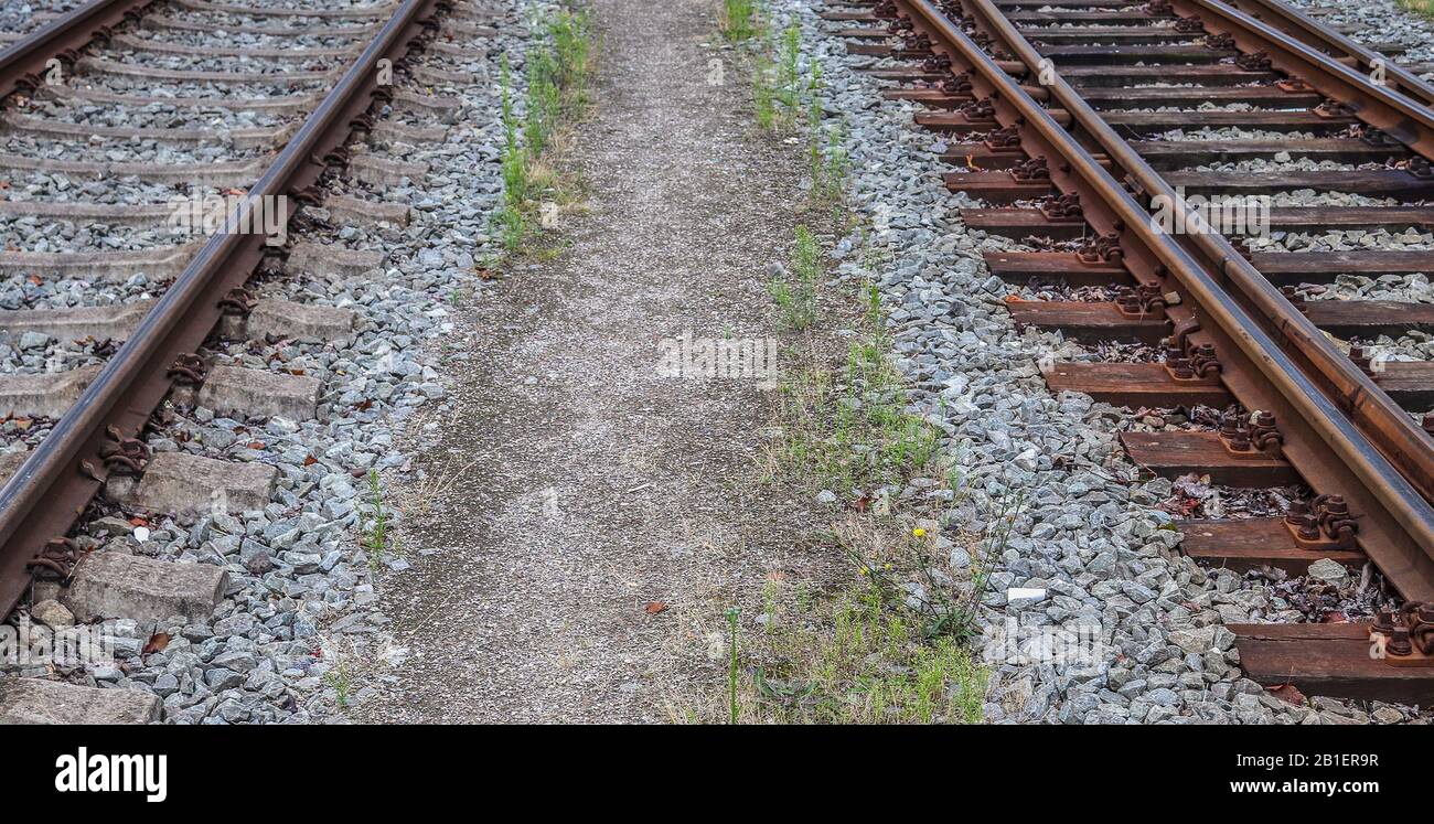 Old and abandoned railroad tracks in a nothern european environment ...