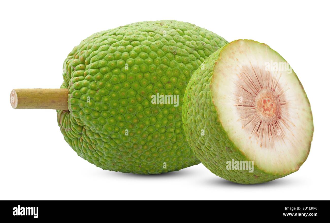 Breadfruit isolated cut out on white background Stock Photo - Alamy