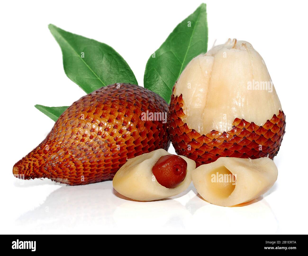 snake skin fruit or salacca fruit isolated on white background Stock ...