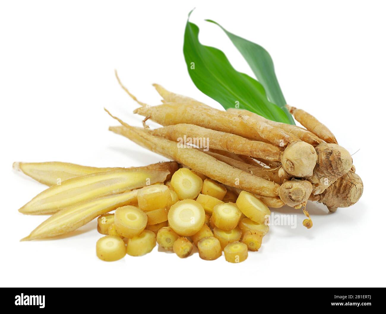 Finger root(spice root) isolated on white background Stock Photo - Alamy