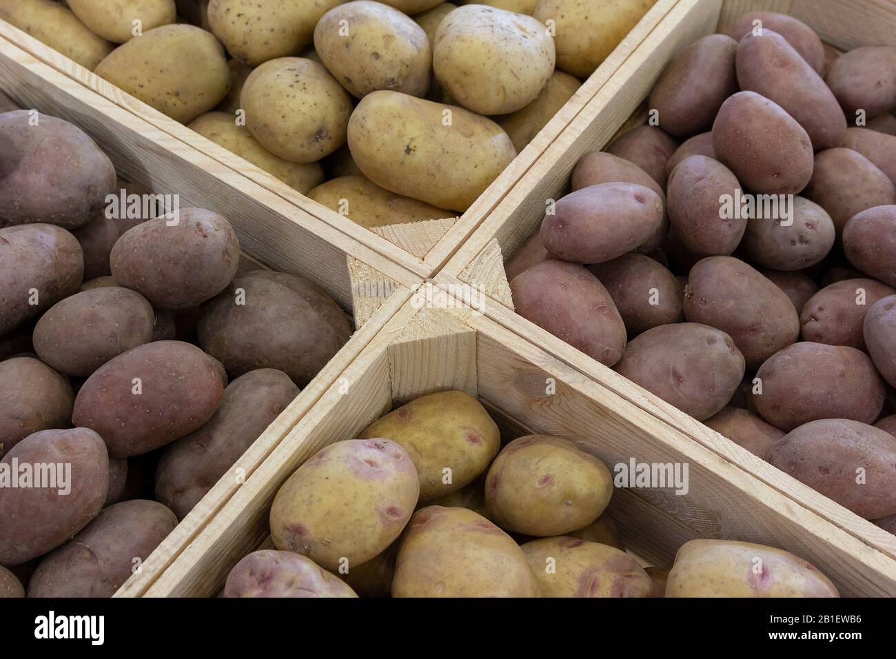 Potato tubers shop hi-res stock photography and images - Alamy
