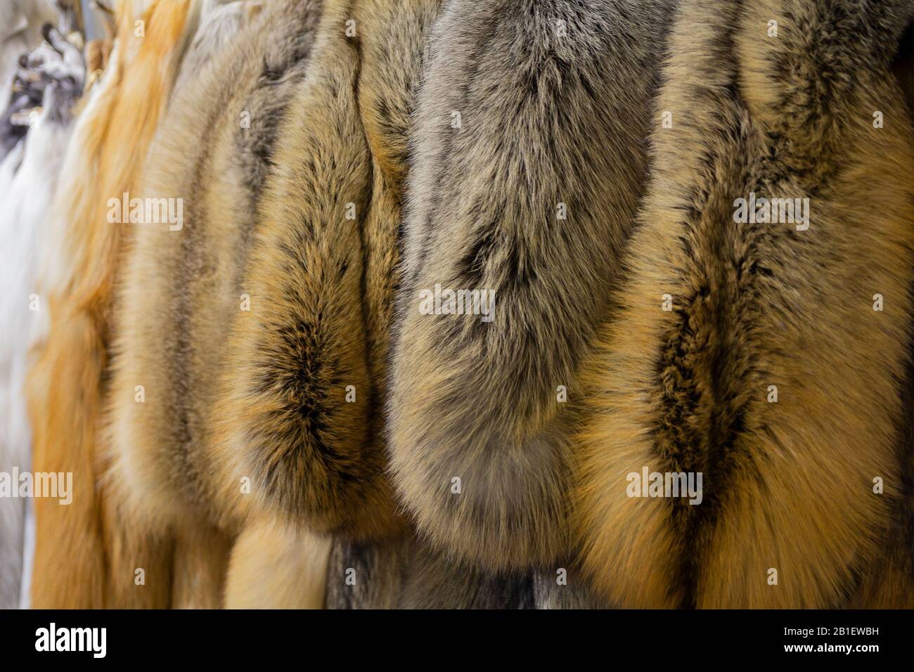 Coat of many colors hi-res stock photography and images - Alamy