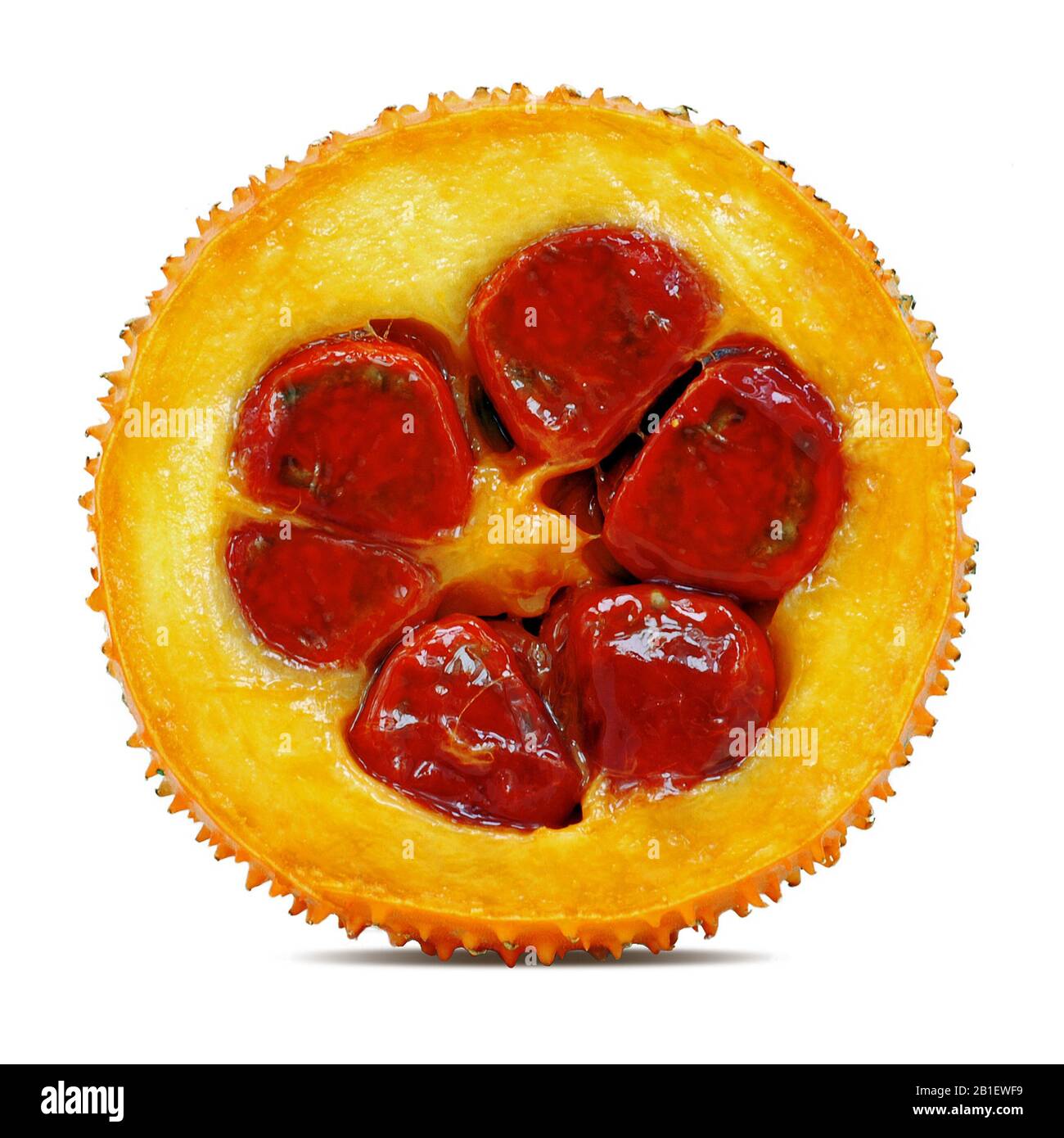 Gac fruit isolated on white background Stock Photo - Alamy