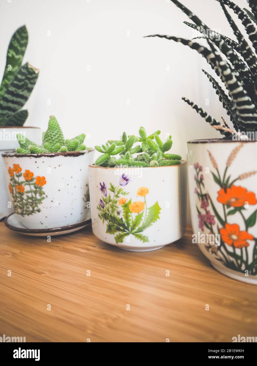 Vintage flower pots hi-res stock photography and images - Alamy