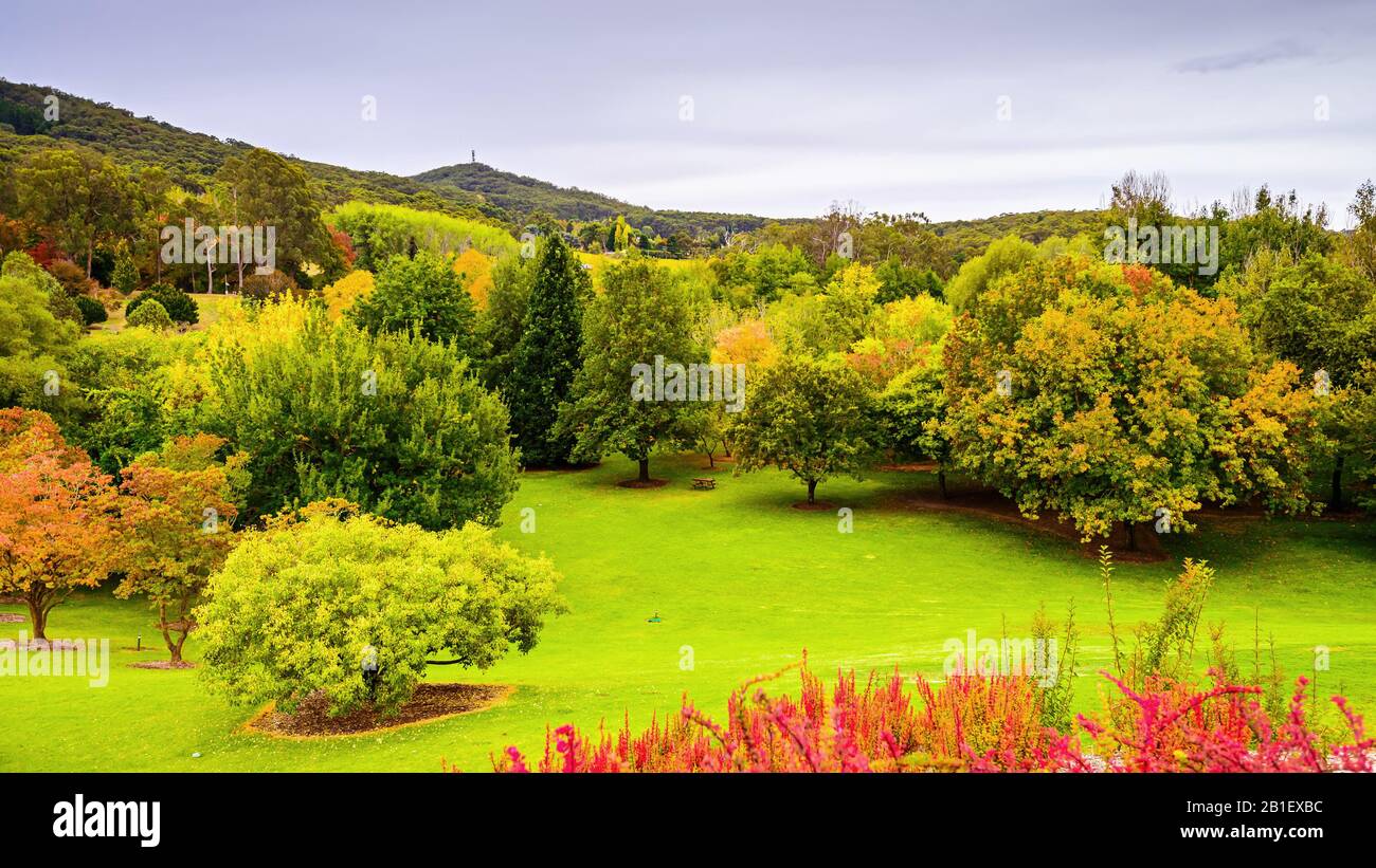 Botanic garden adelaide south australia hi-res stock photography and ...
