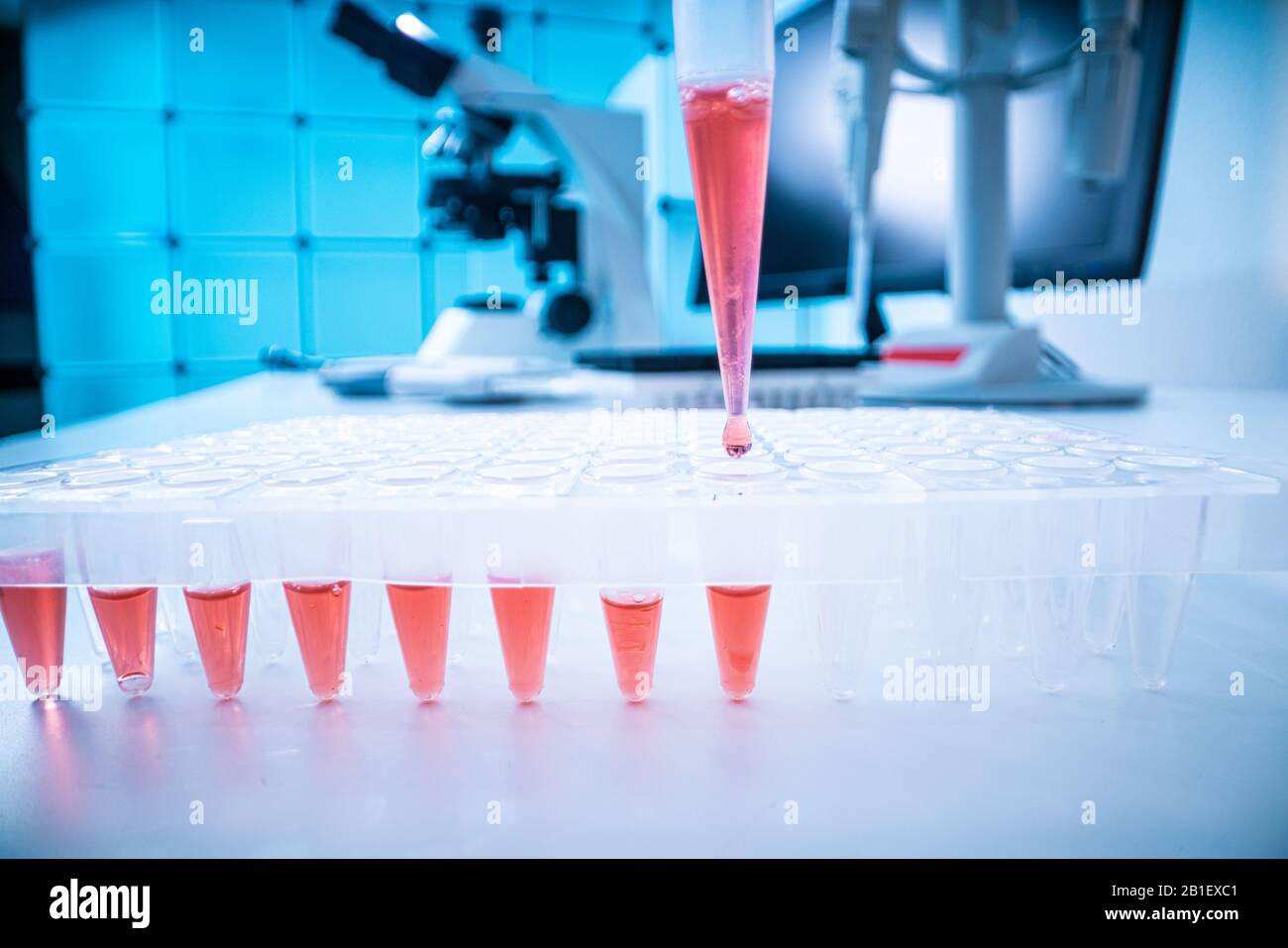 sample of biological sample for DNA analysis Stock Photo - Alamy