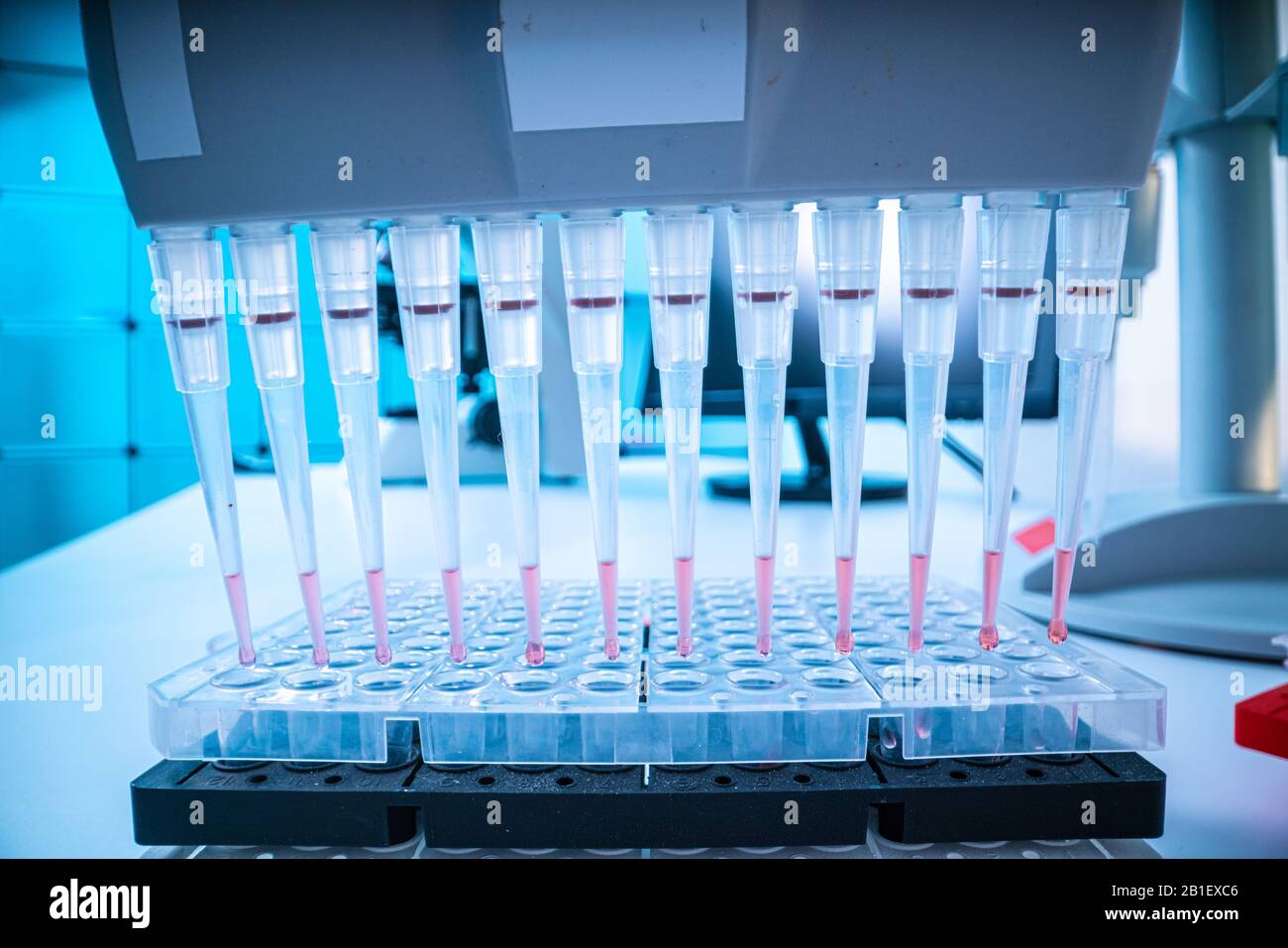sample of biological sample for DNA analysis Stock Photo - Alamy