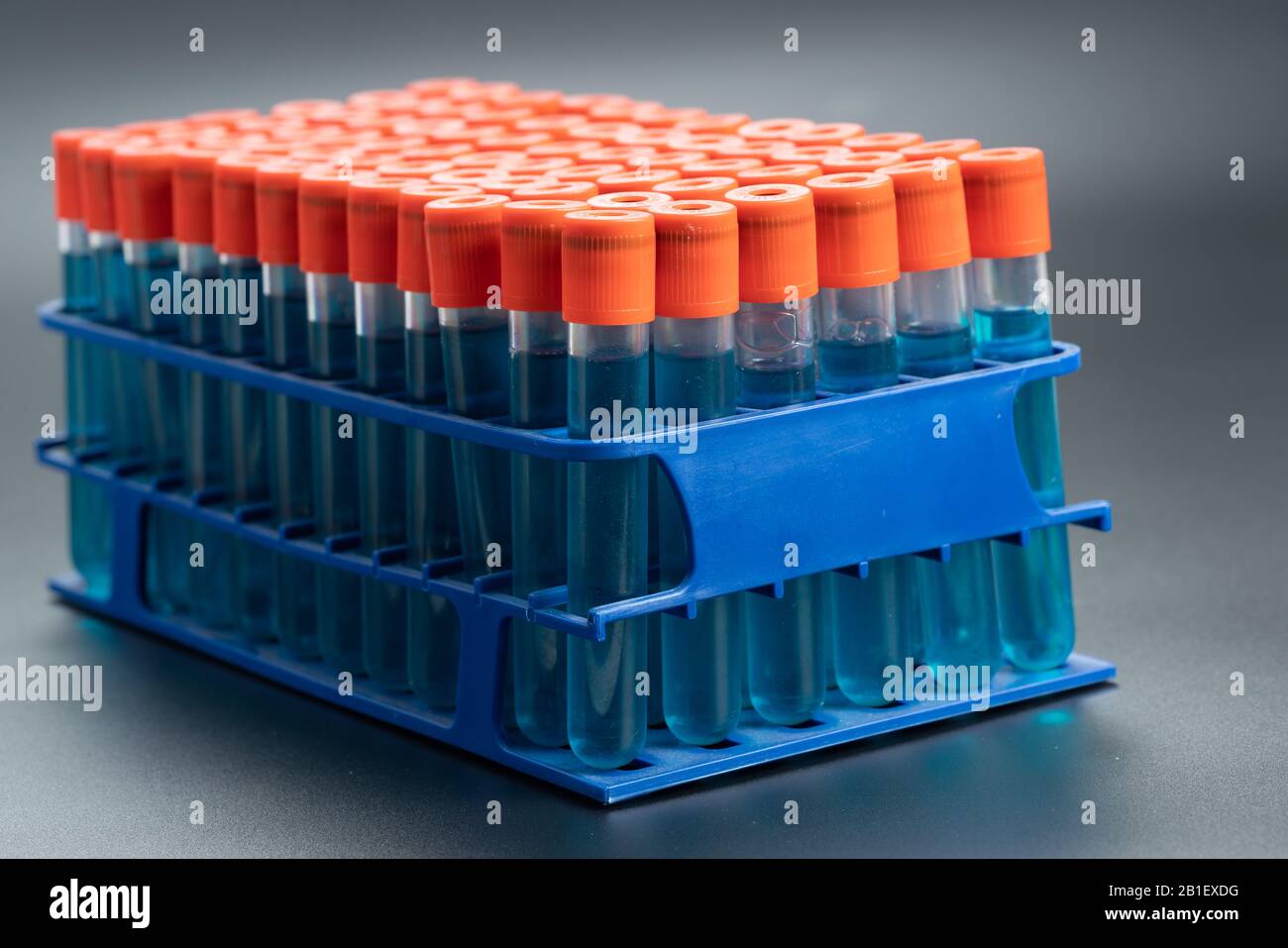 Test tubes with chemical samples in science laboratory Stock Photo - Alamy