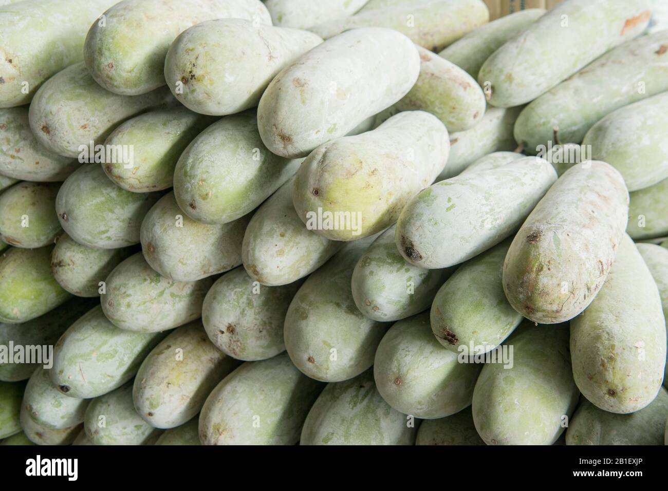 fresh papaya at the food market in the town of Kamphaeng Phet in the ...