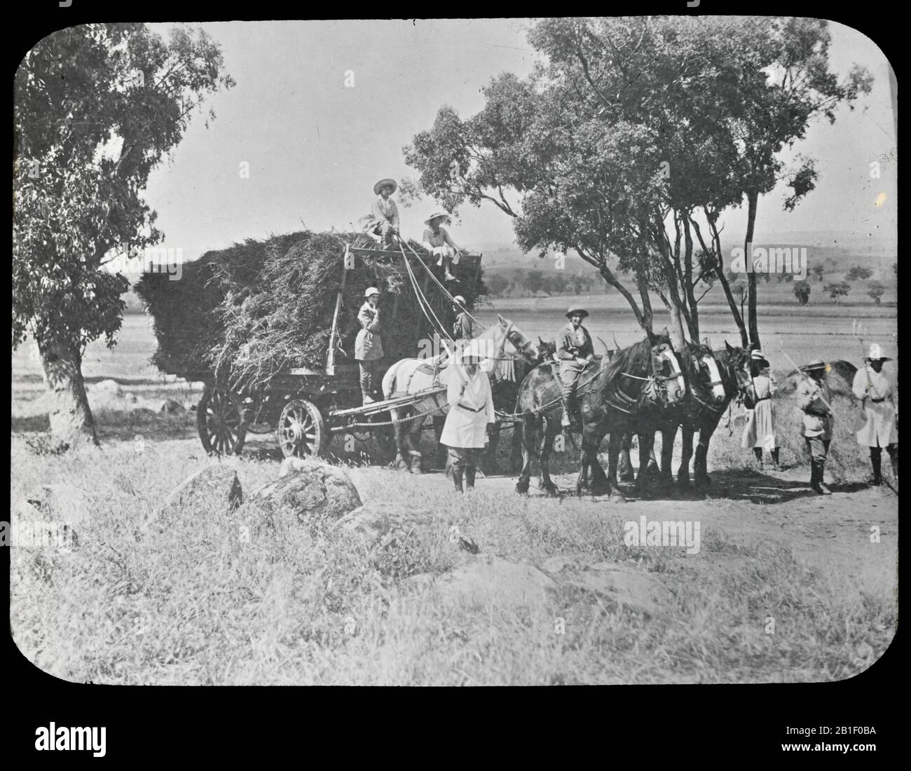 Farm cart 20th century photograph hi-res stock photography and images ...