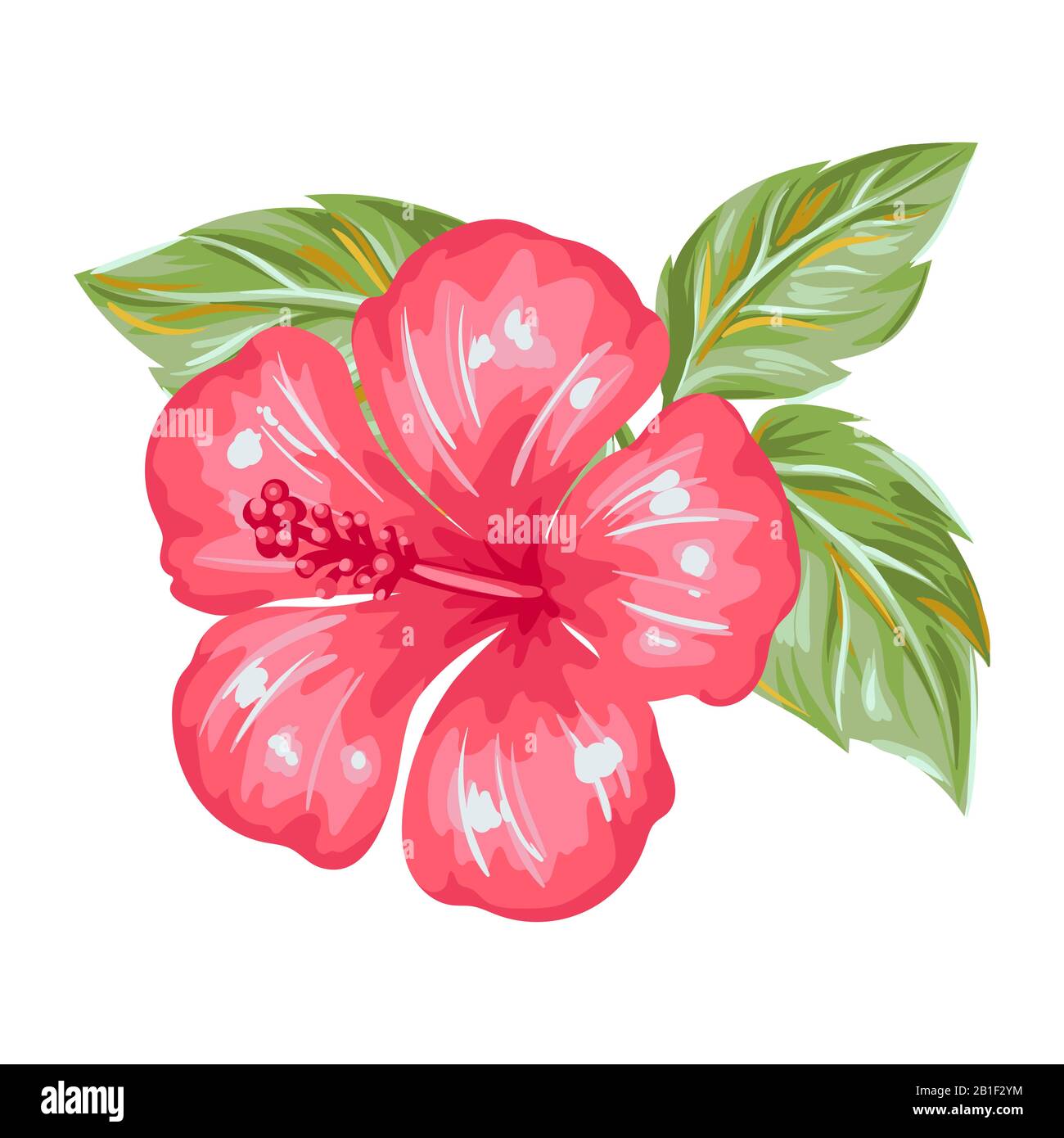 Hibiscus flower decoration Stock Vector Images - Alamy