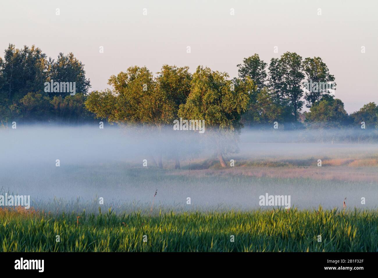 Mist land hi-res stock photography and images - Alamy