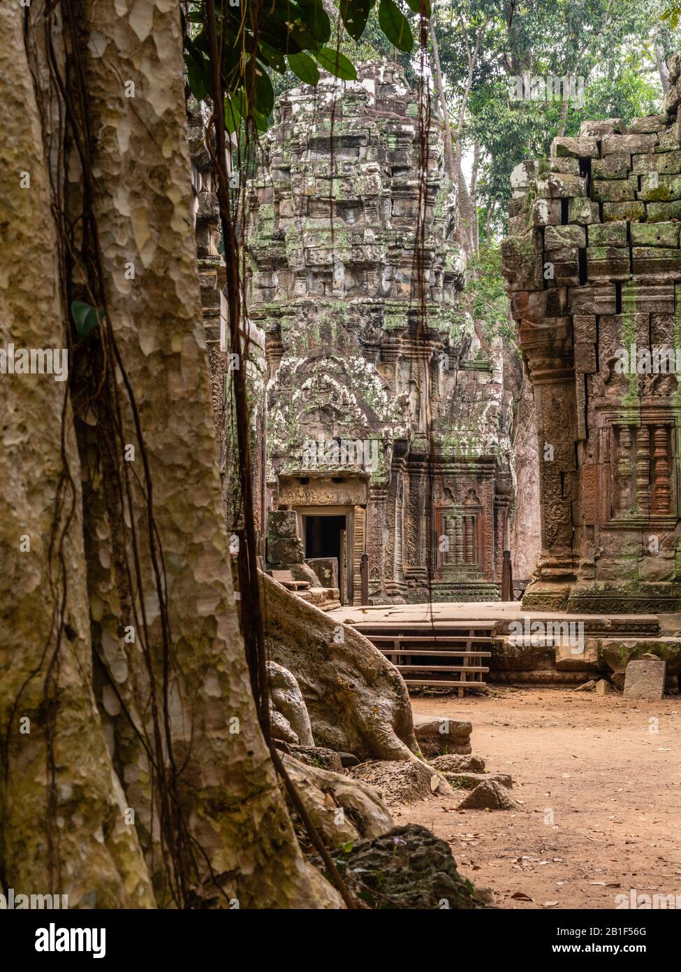 Image of Ta Prohm Temple, the photogenic temple at Angkor Wat ...