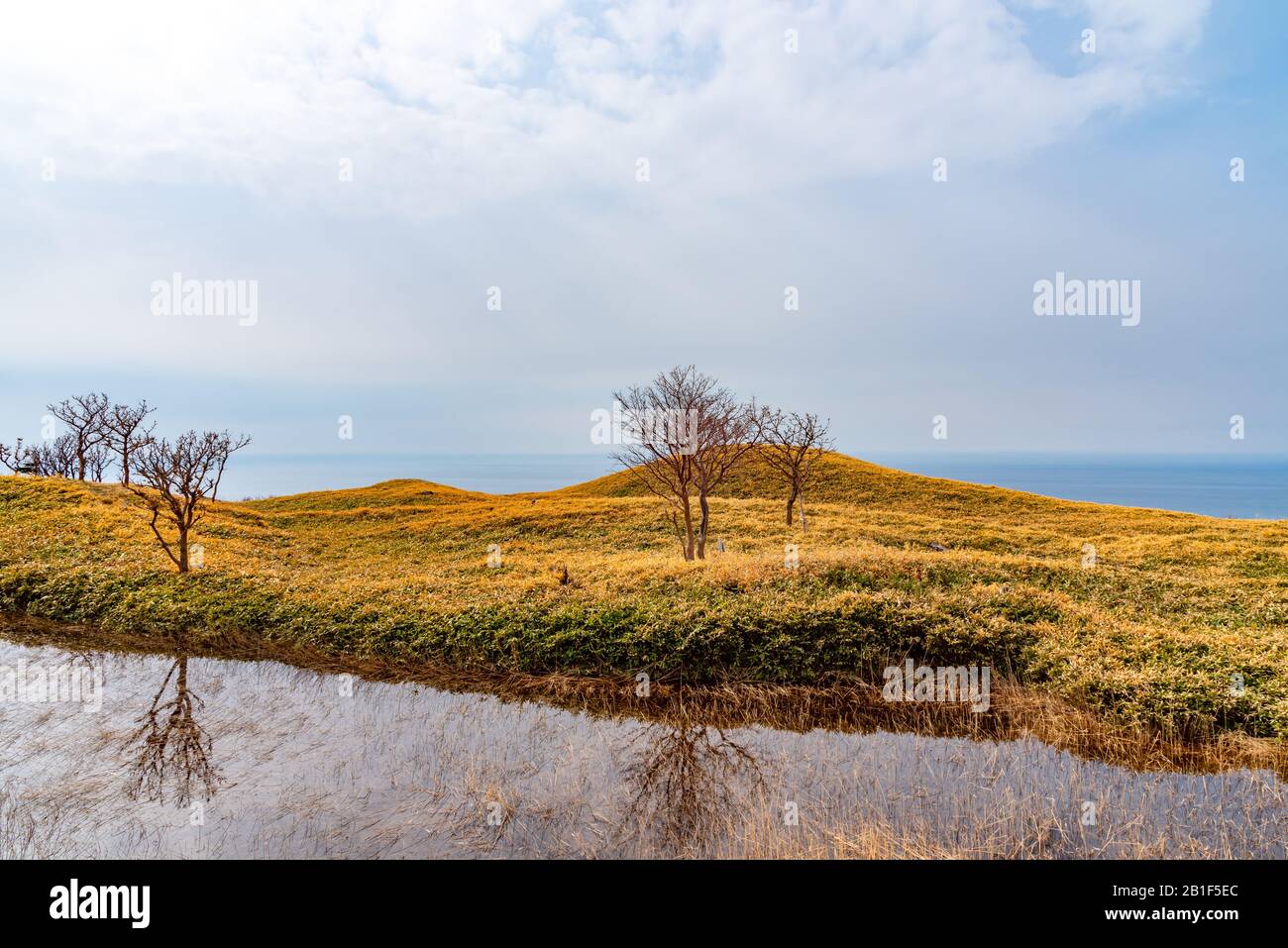 Shiretoko Goko Five Lakes area. woodland in high latitude country ...