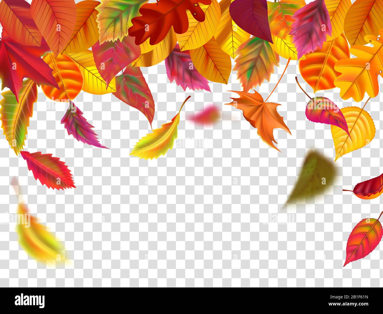 Autumn leaves fall. Falling blurred leaf, autumnal foliage fall and ...