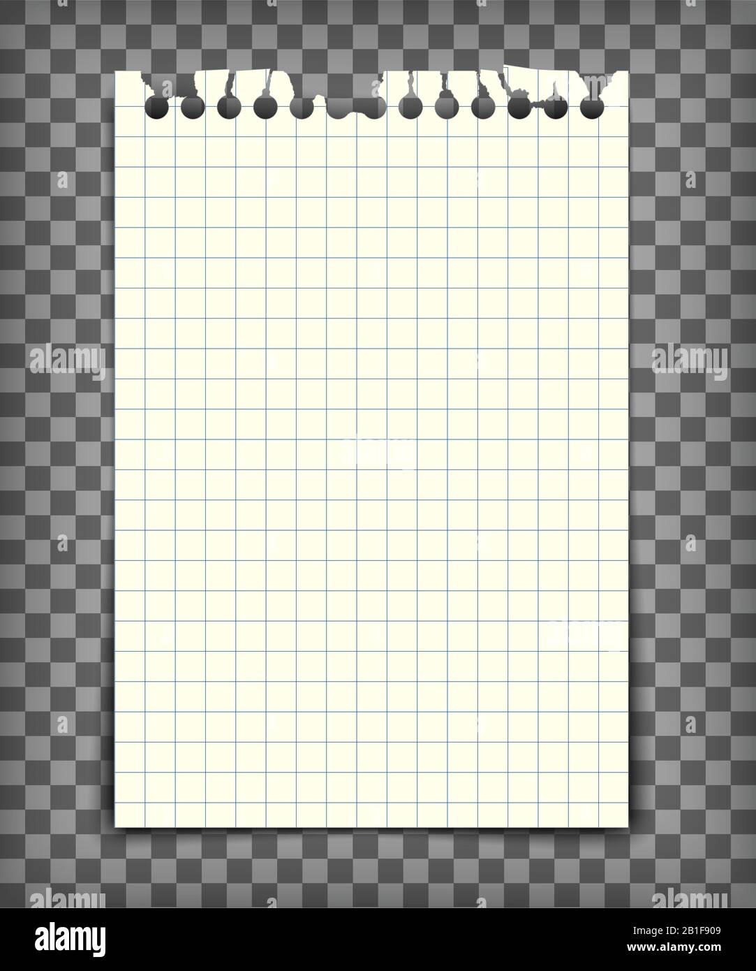 Blank checkered note book page with torn edge Stock Vector Image & Art ...