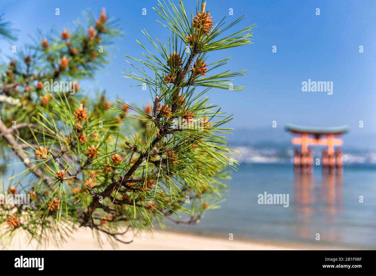 Floating Flower High Resolution Stock Photography and Images - Alamy