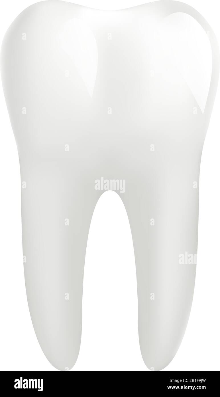 White molar tooth isolated on white Stock Vector Image & Art - Alamy