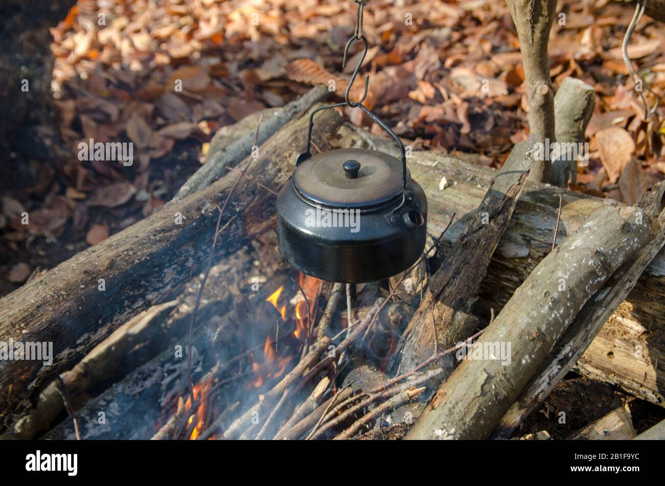 Making Tea in Camping Stock Photo - Alamy