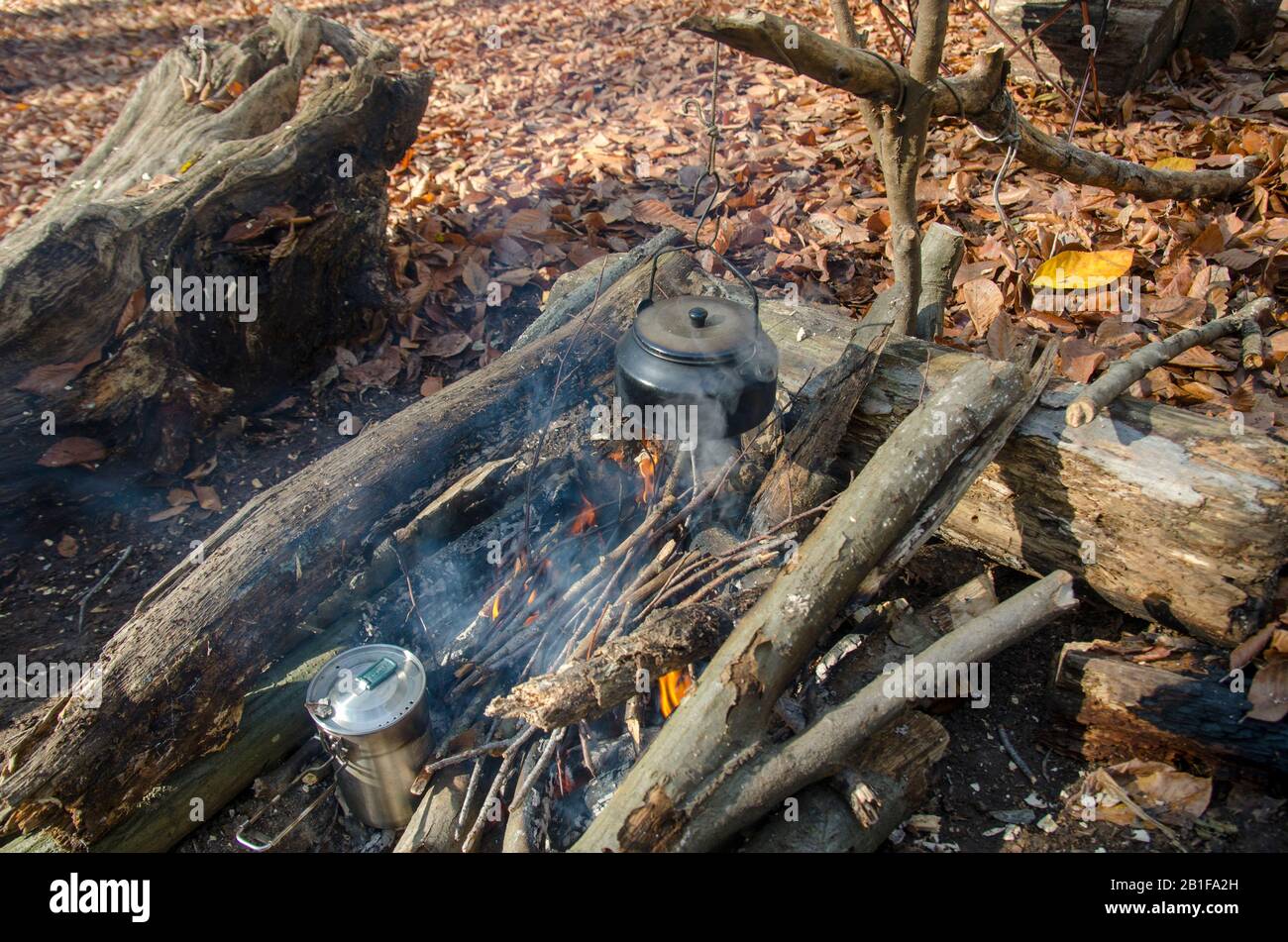 Making Tea in Camping Stock Photo - Alamy