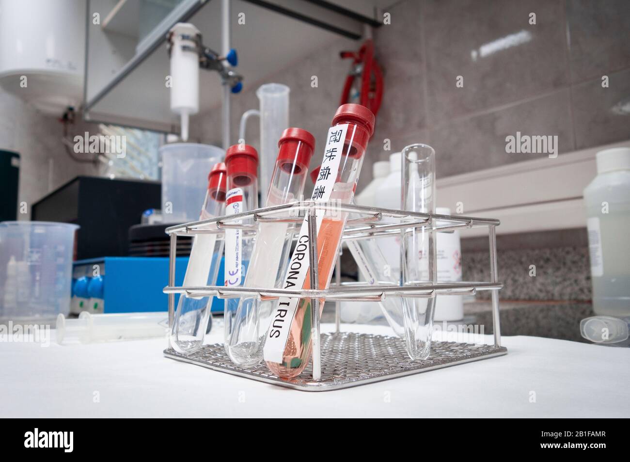 Test tubes in a laboratory Stock Photo - Alamy