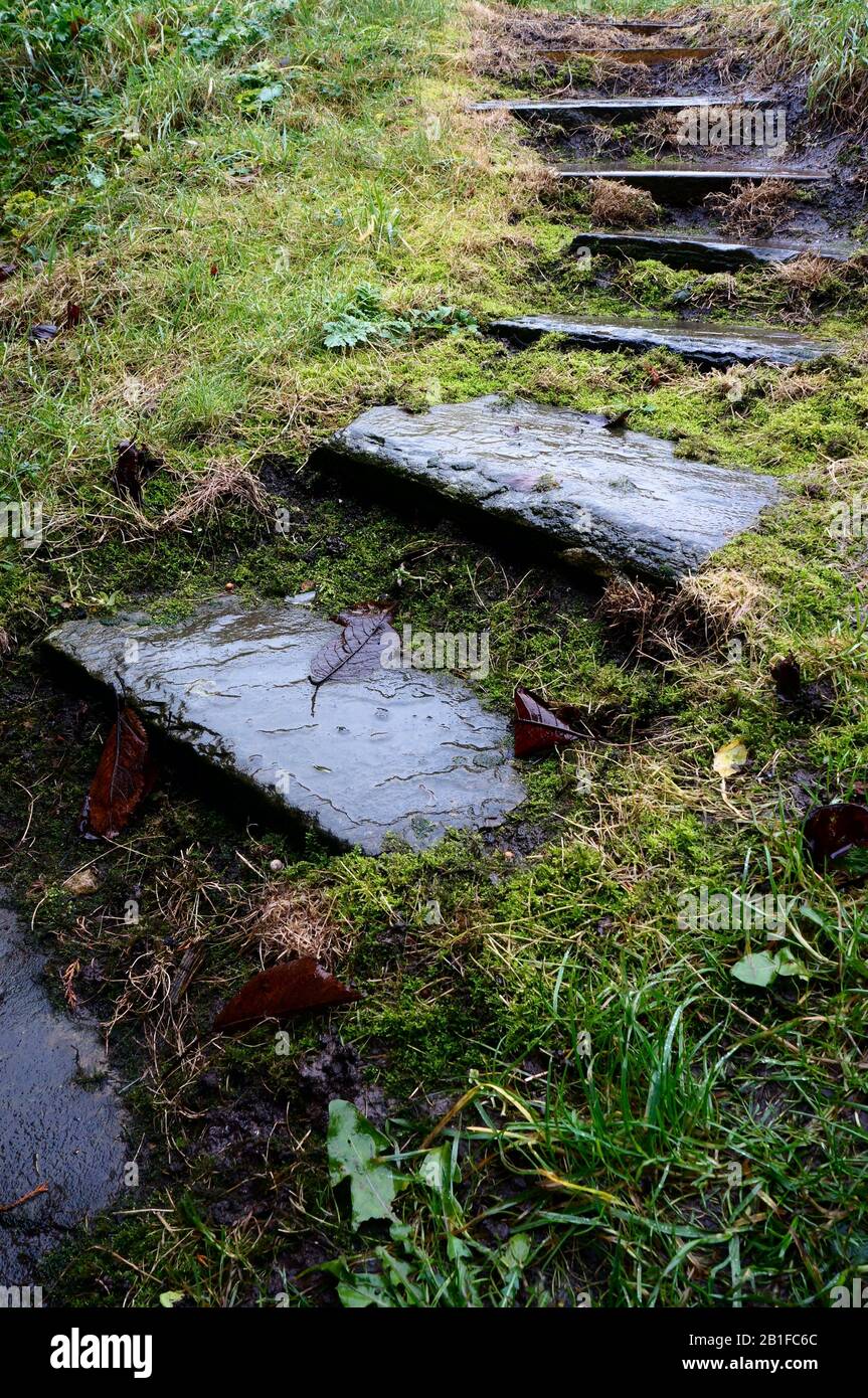Riverbank Steps High Resolution Stock Photography and Images - Alamy
