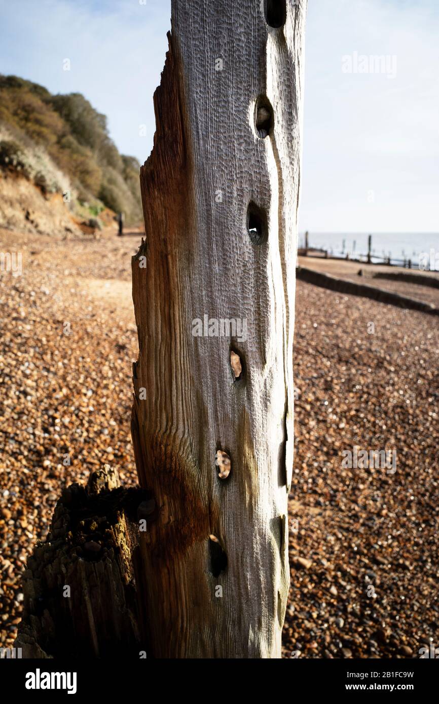 Eroded beaches hi-res stock photography and images - Alamy