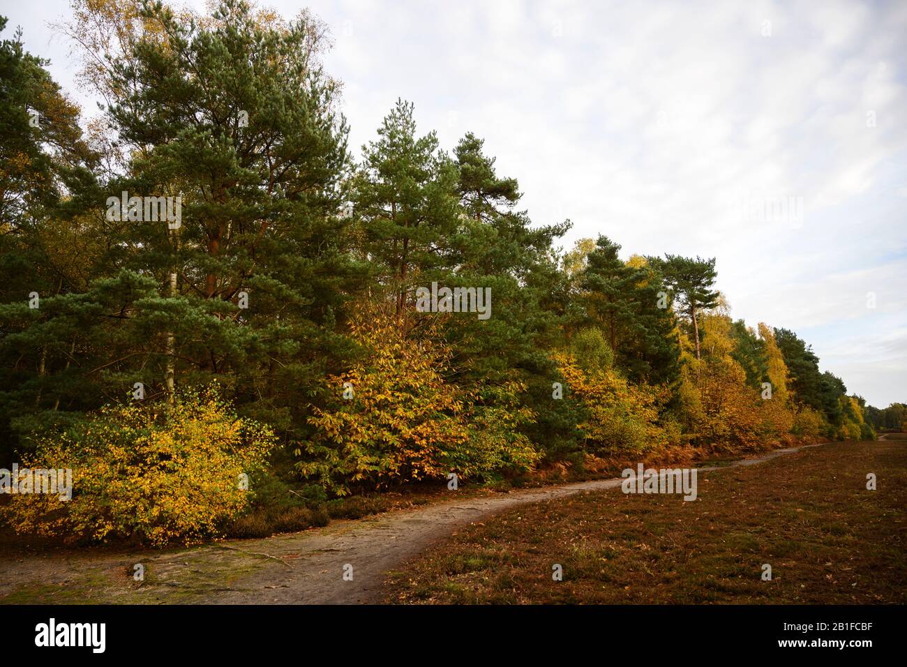 Public footpath Sutton Heath Suffolk England Stock Photo - Alamy