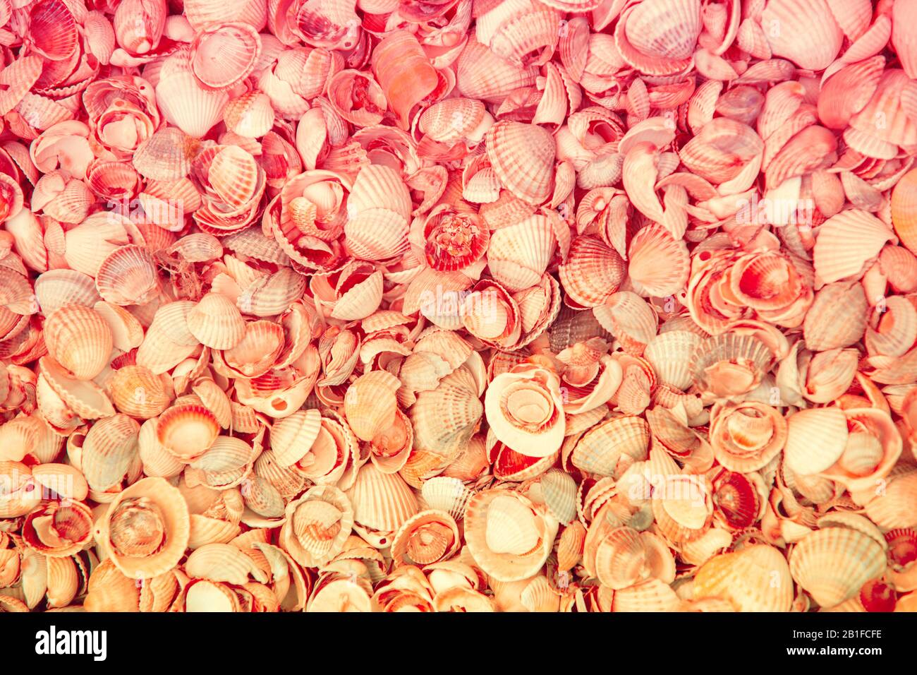 Natural abstract colorful seashells texture background Stock Photo - Alamy