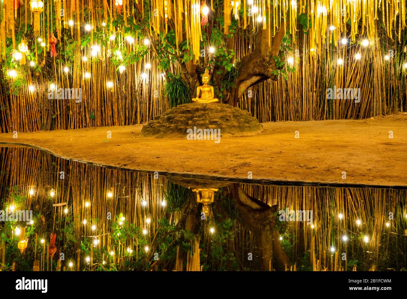Buddha bodhi tree hi-res stock photography and images - Alamy