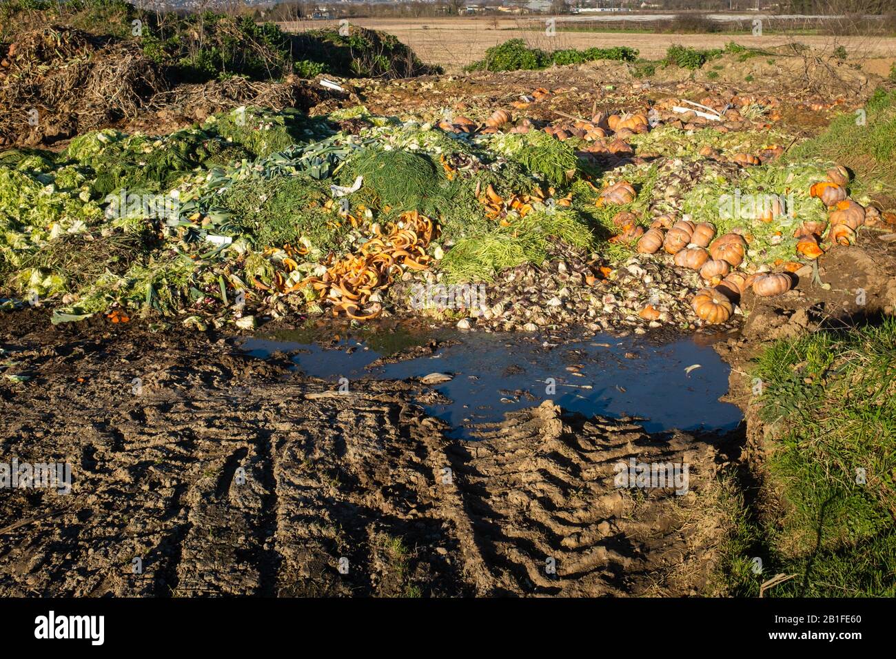 Composte hi-res stock photography and images - Alamy