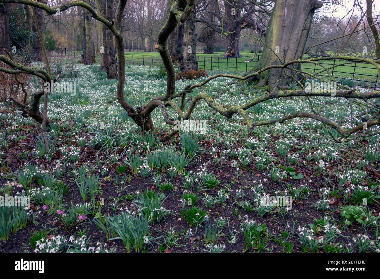 Little ponton hi-res stock photography and images - Alamy