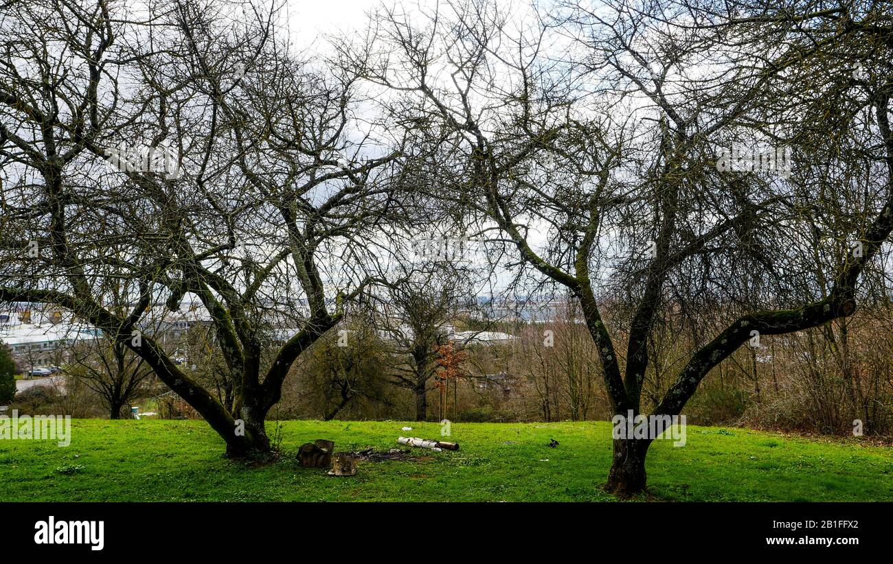 Forested area in suburban district, Saint-Priest, eastern suburb of ...