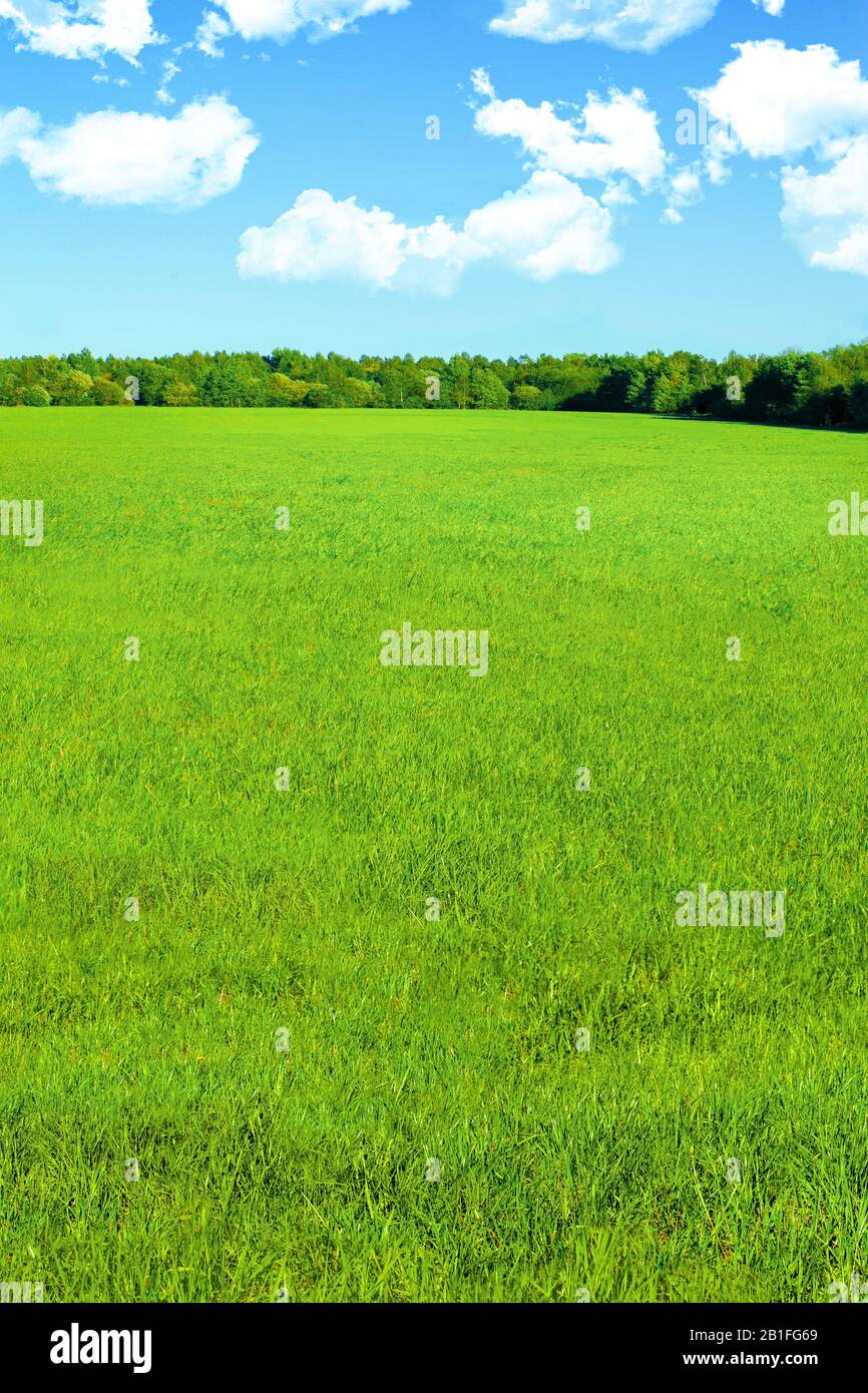 Large depth of field hi-res stock photography and images - Alamy
