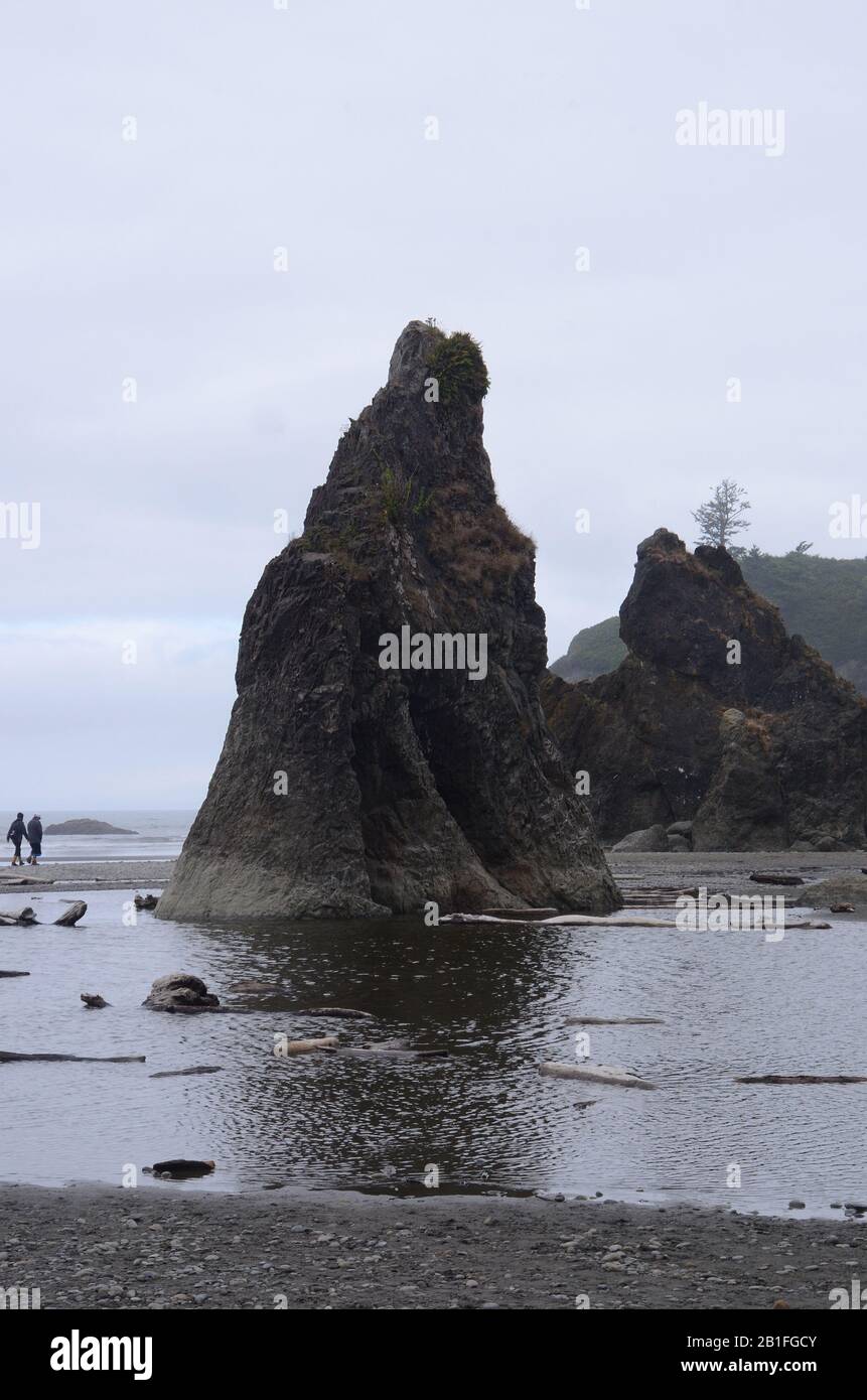 SHADES OF GREY: Grey overtones consume Ruby beach in Washington state ...