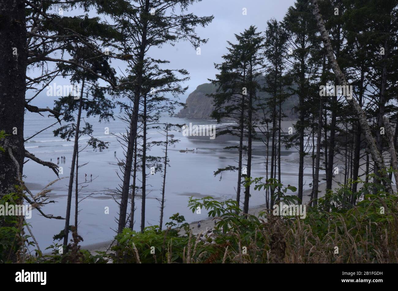 Washington state coastal scenery hi-res stock photography and images ...