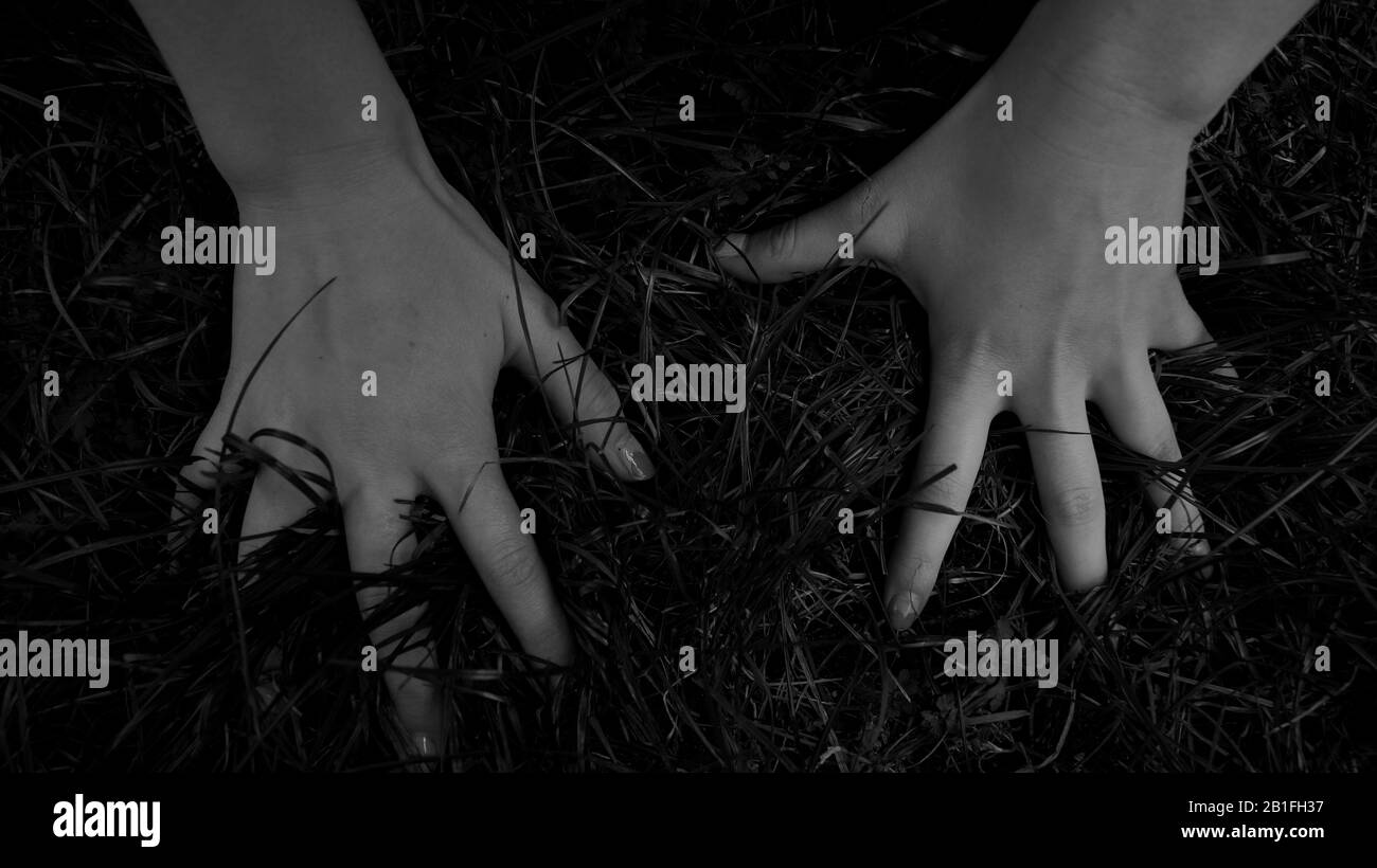 Touching the ground Stock Photo - Alamy