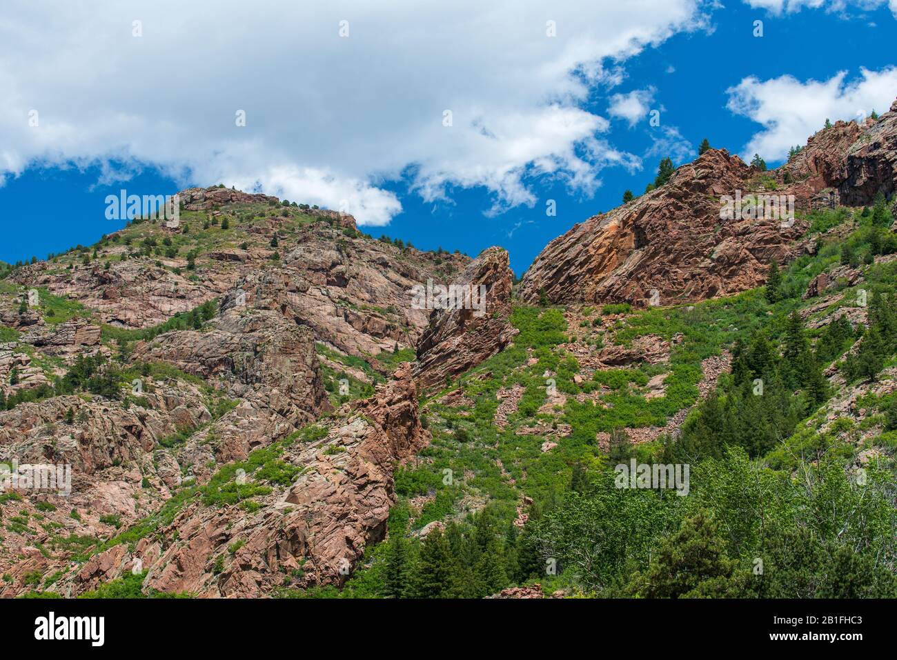 Low angle landscape of tall hills and trees along the Shelf Road in ...