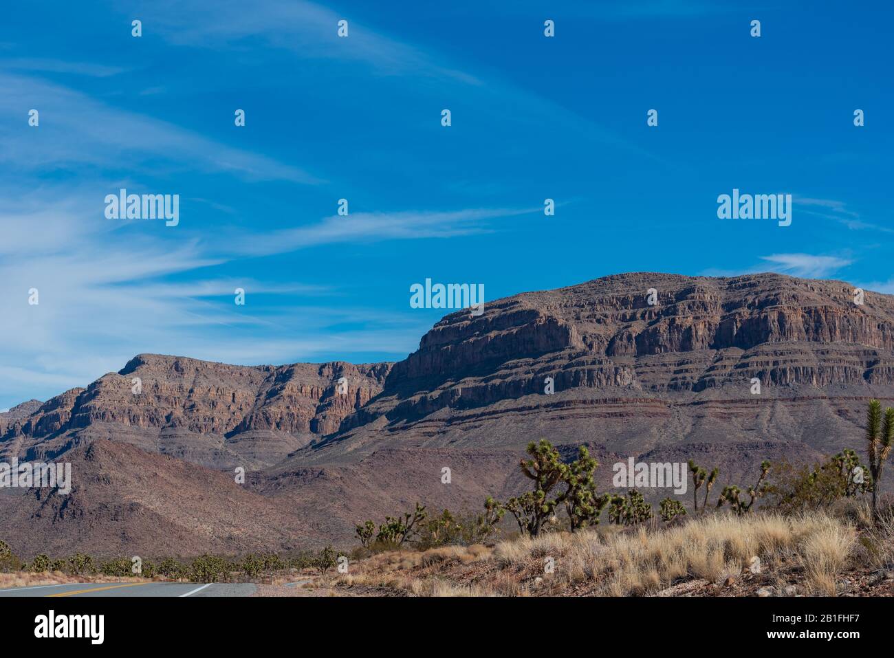 Landscape of barren stone hills and Joshua trees along a road in the ...