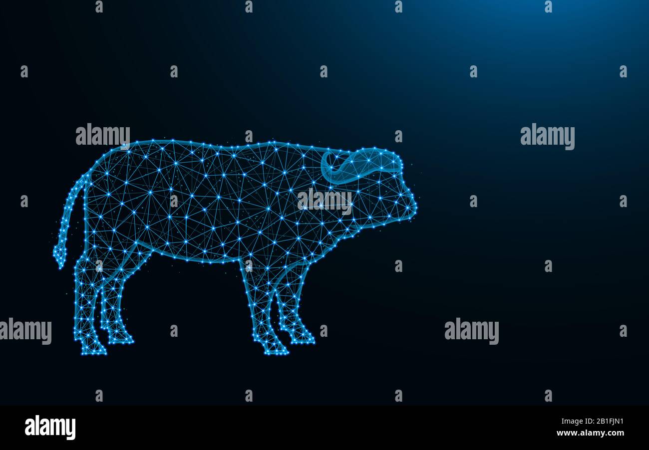 Buffalo made from points and lines on dark blue background, bull ...