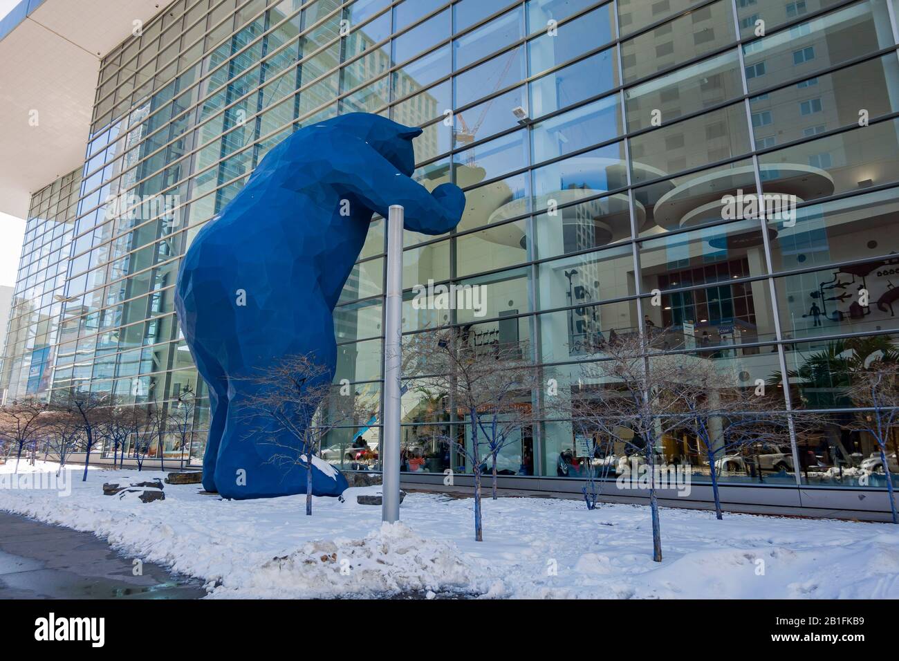 Blue bear hi-res stock photography and images - Alamy