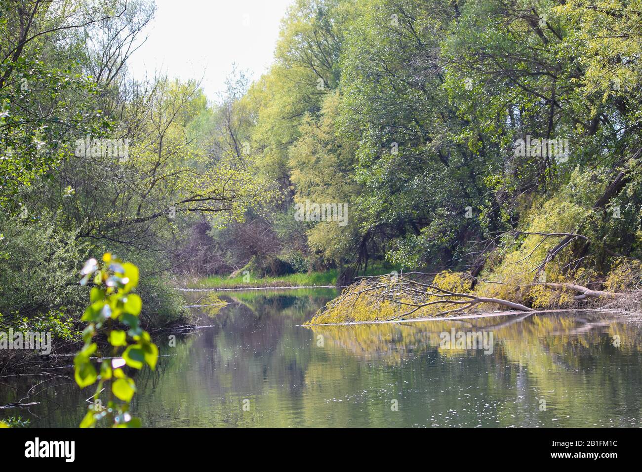 Lake in spanish national park Stock Photo - Alamy