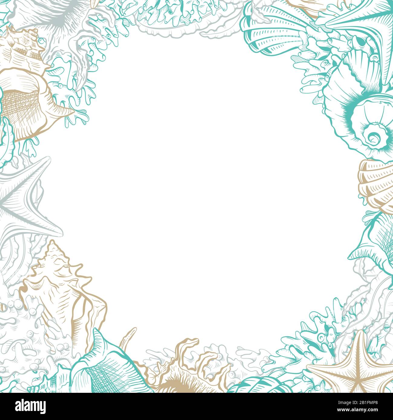Sea Shell Borders And Frames