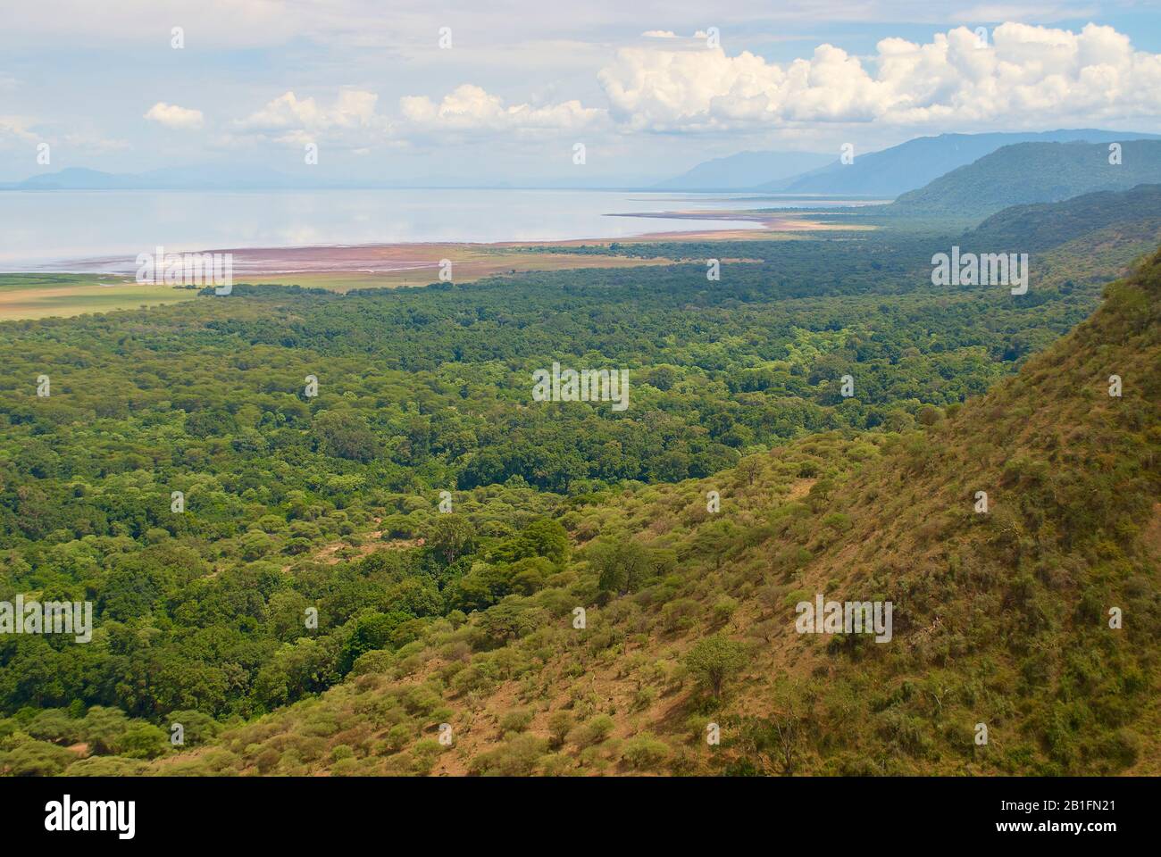 Lake Manyara, seen from the Ngorongoro escarpment road Stock Photo - Alamy